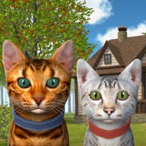 Cat Simulator Online - Simulatin Game
