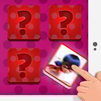 Ladybug Memory Puzzle Game - Play Online
